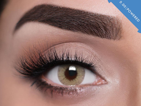 Brown/Hazel - Lenslo.com